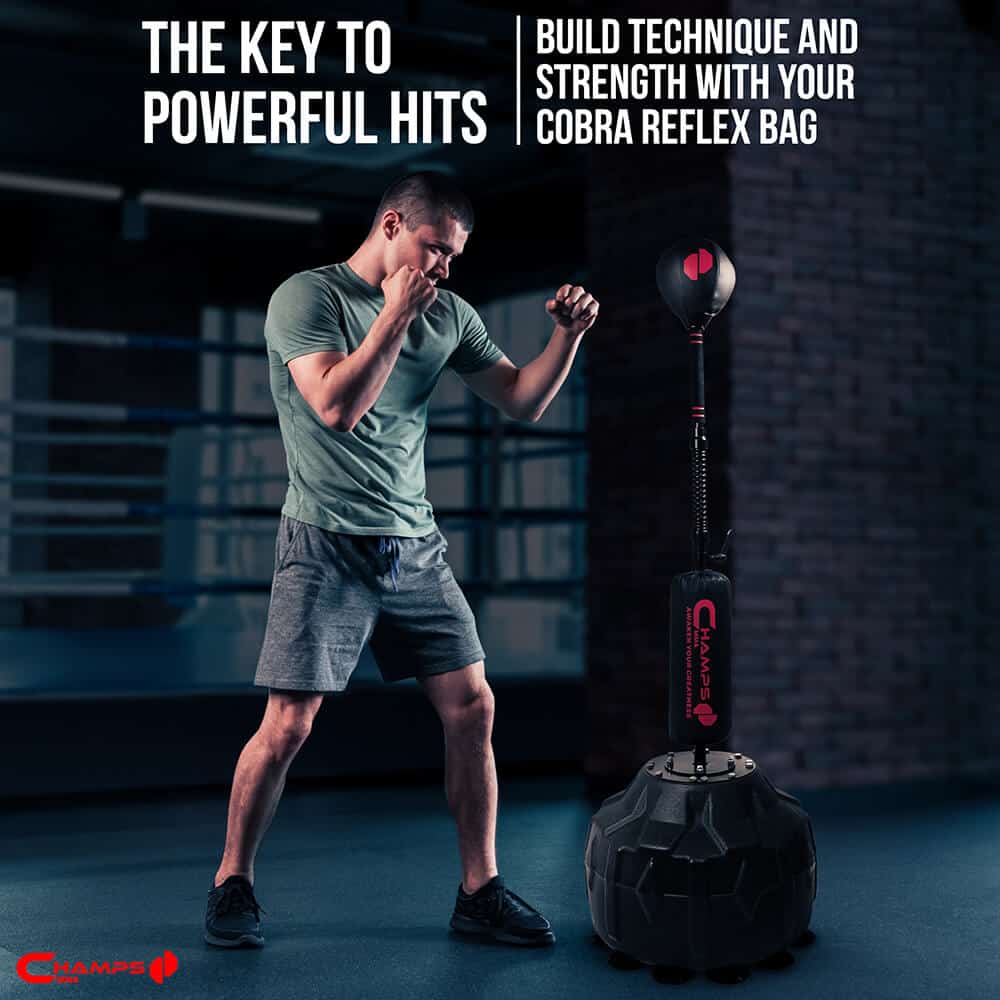 Pro Cobra Reflex Bag – Boxing Reflex Bag With Fast Bounce-back Speed ...