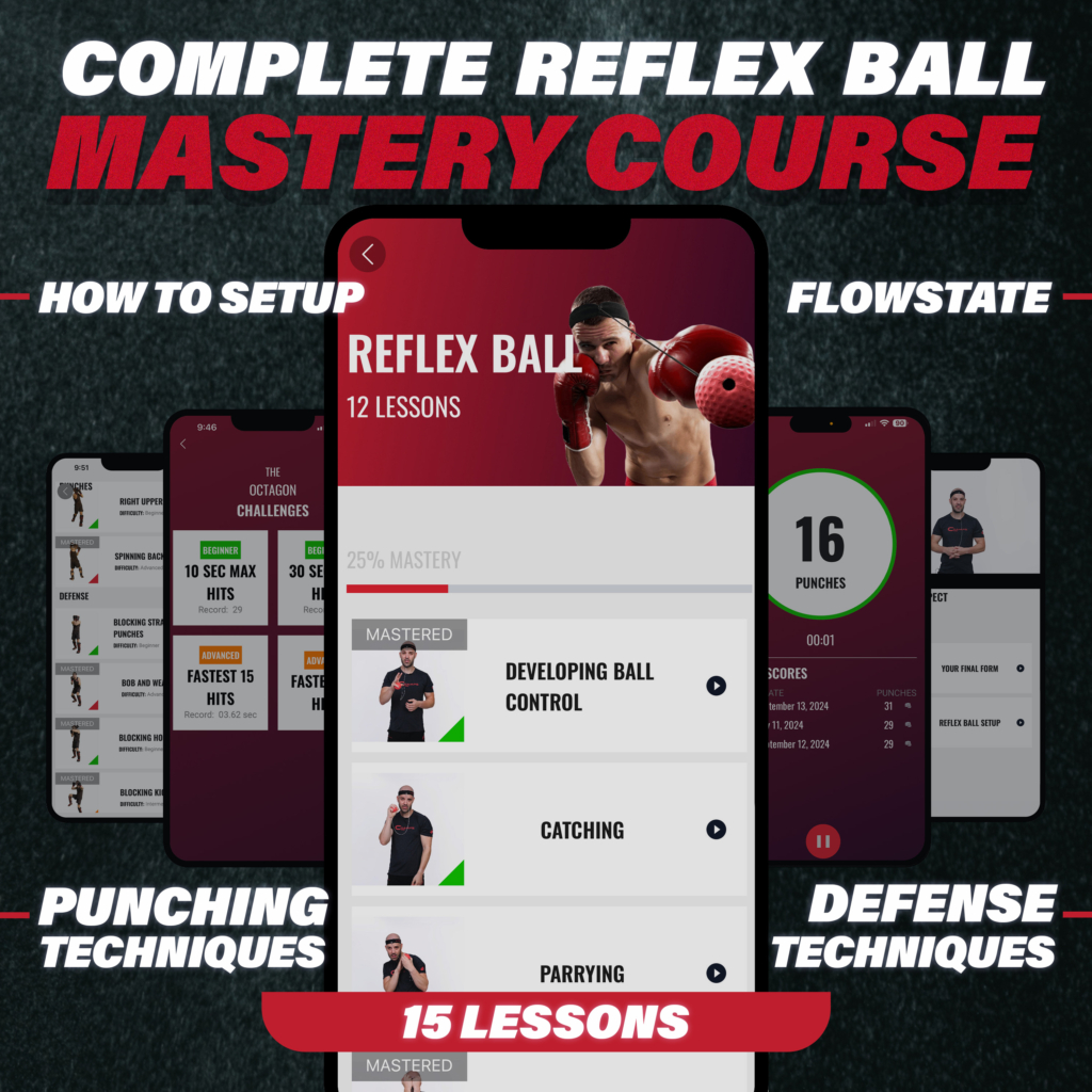 Boxing Reflex Ball Set – 4 Difficulty levels Boxing Ball with ...